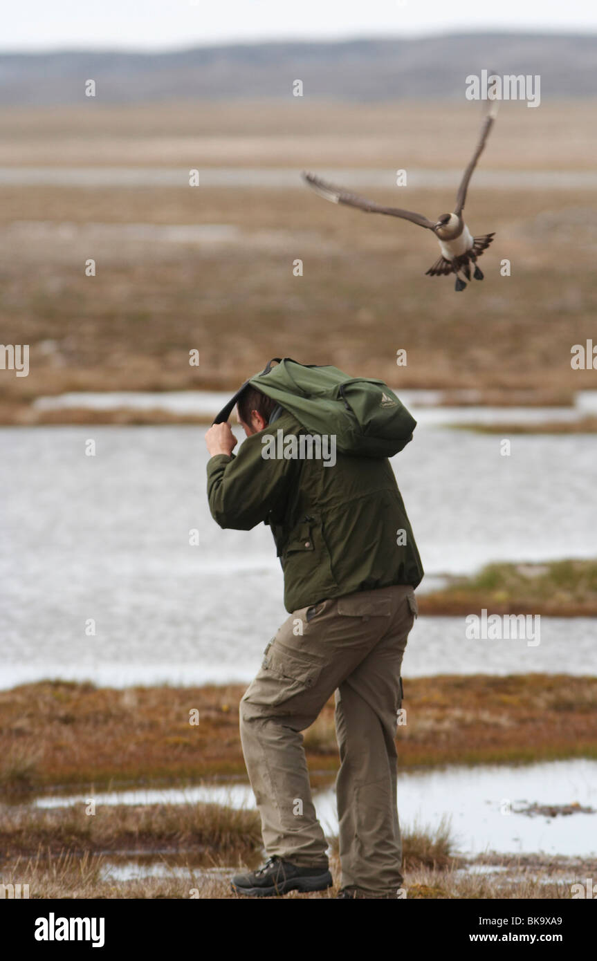 Attacking a person hi-res stock photography and images - Alamy