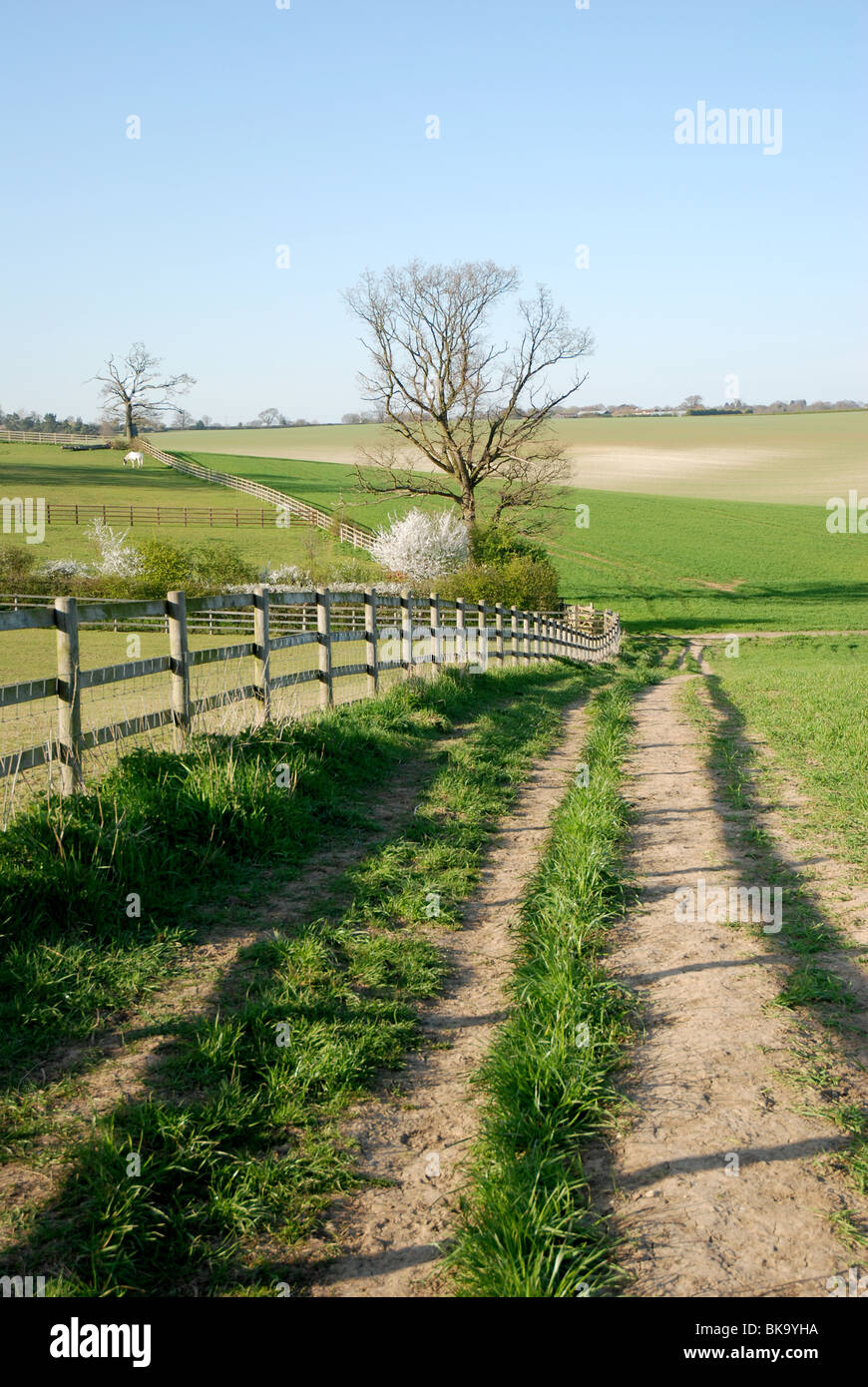 Footpath across fields hi-res stock photography and images - Alamy