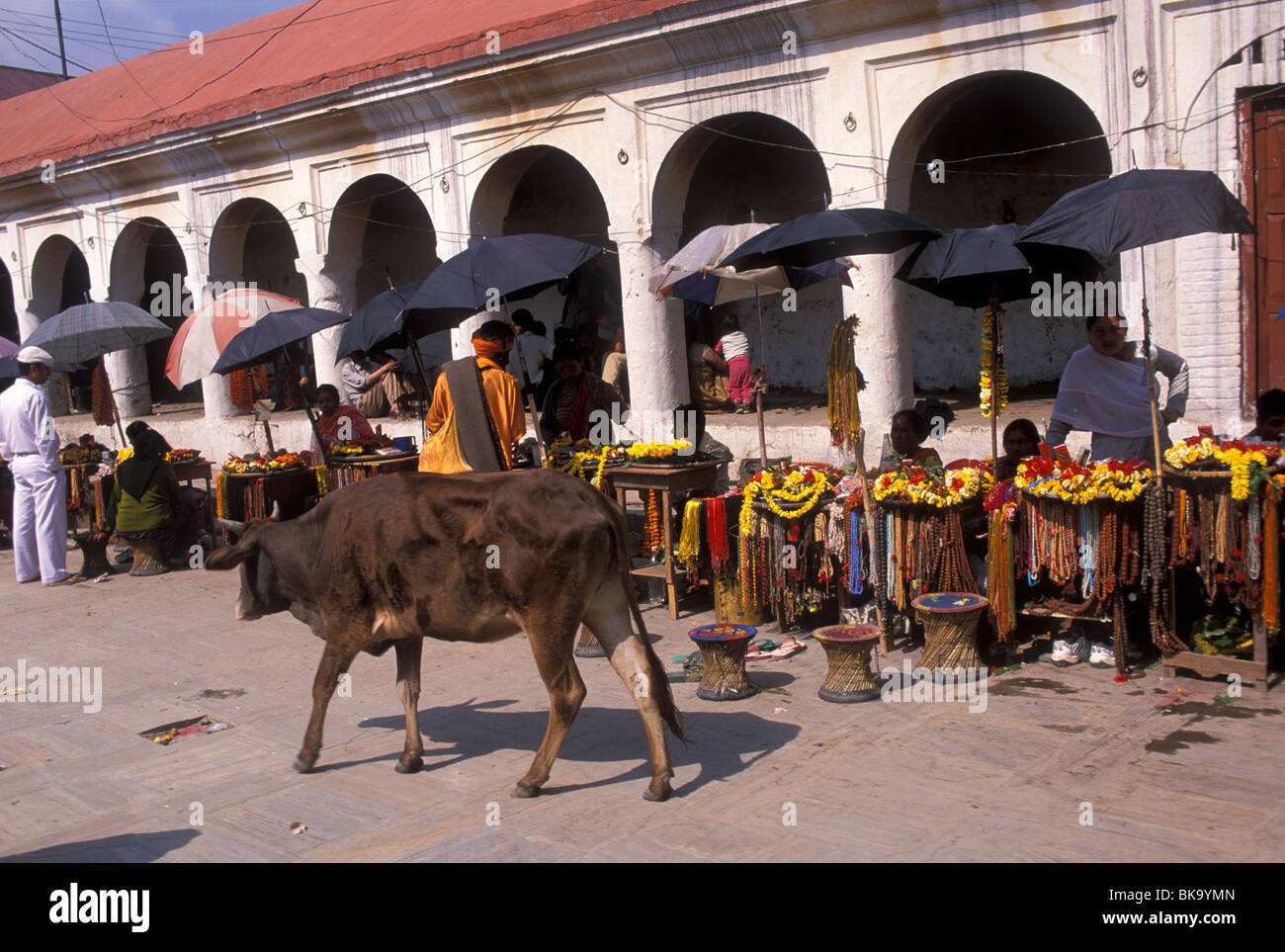 Kathamndu: flower sellers in the area of Hindu Temple of Pashupatinath ...