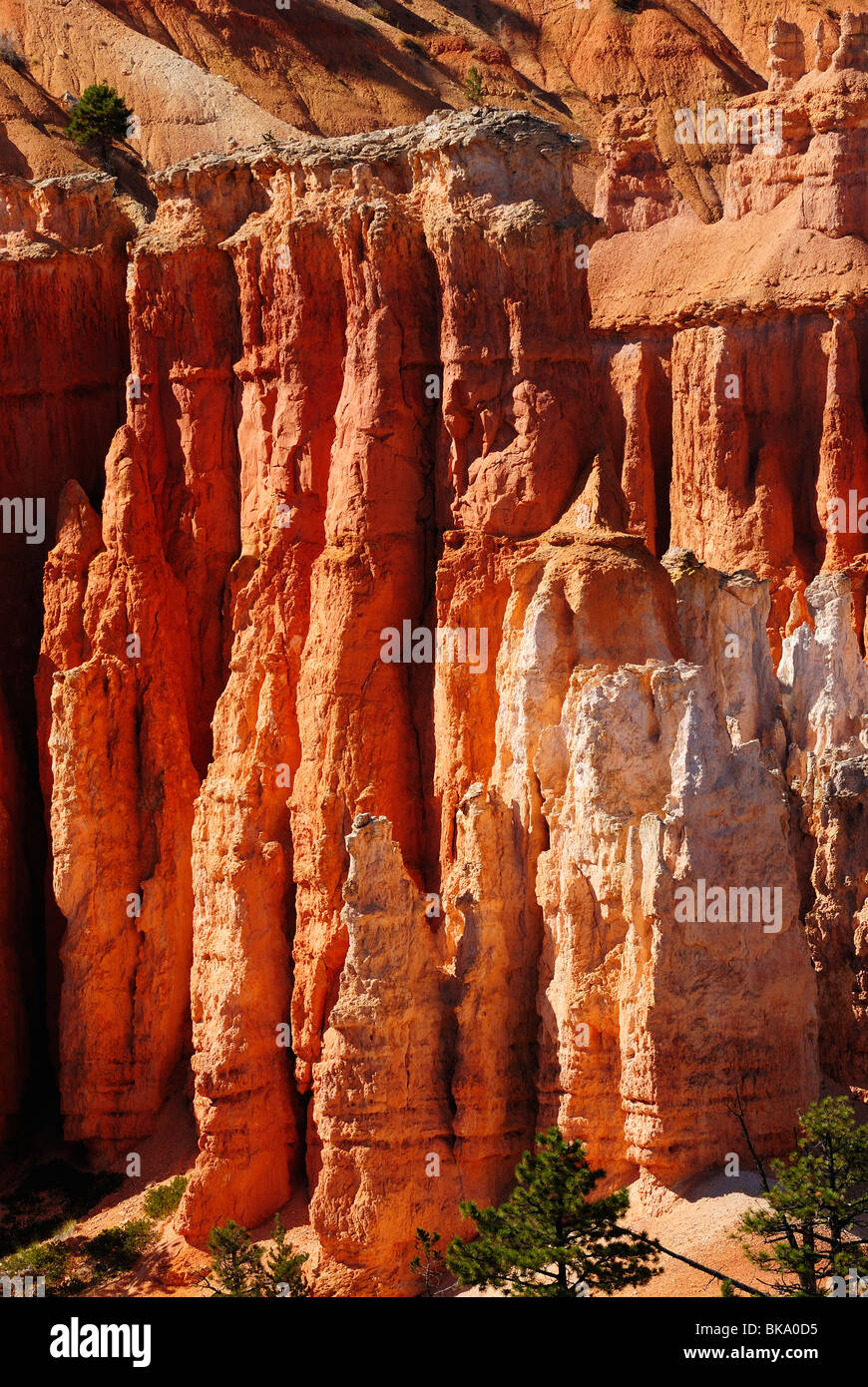 Call me loop hi-res stock photography and images - Alamy