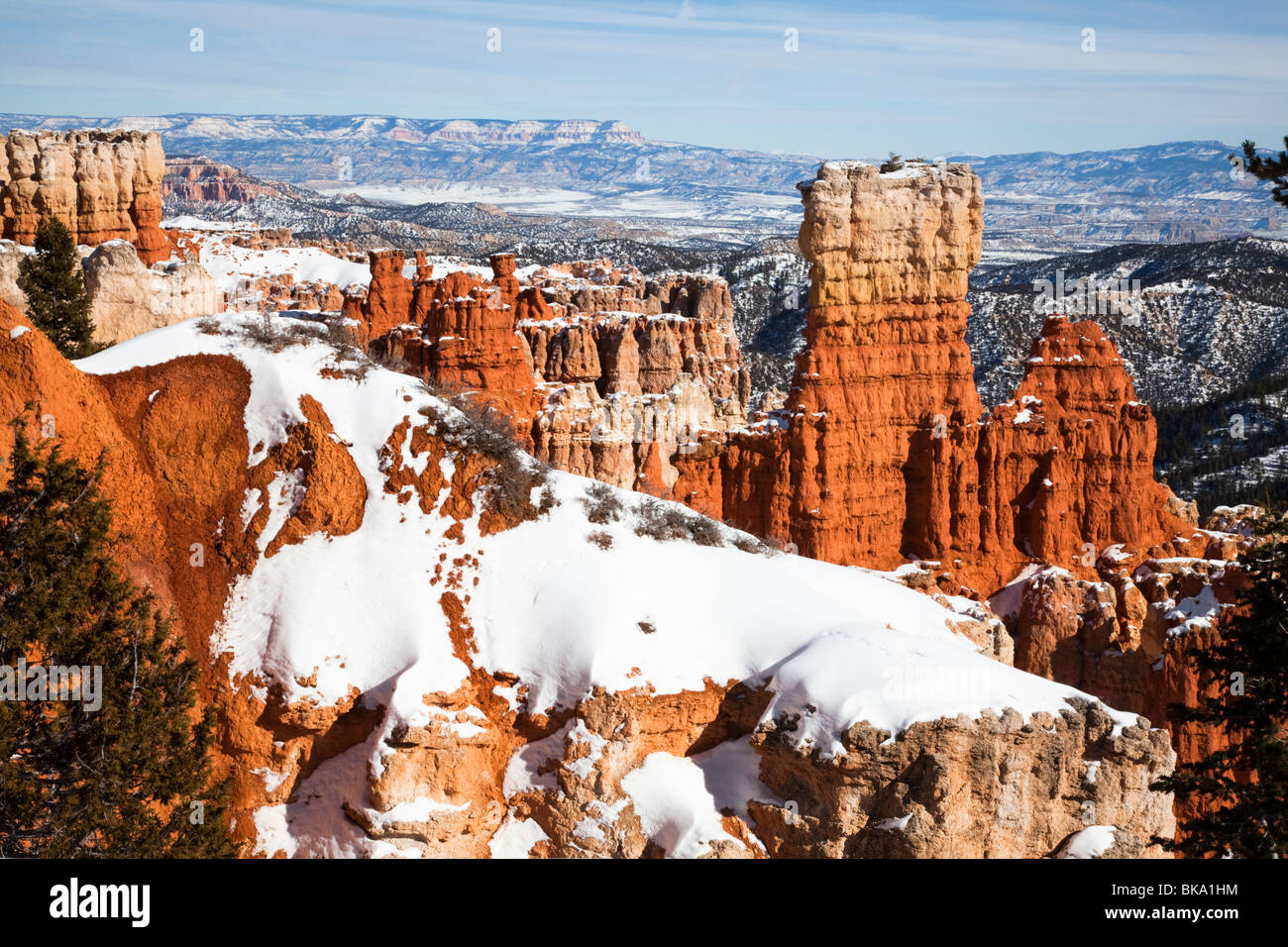 As viewed from Ponderosa Point, thin, protruding spires of rock ...