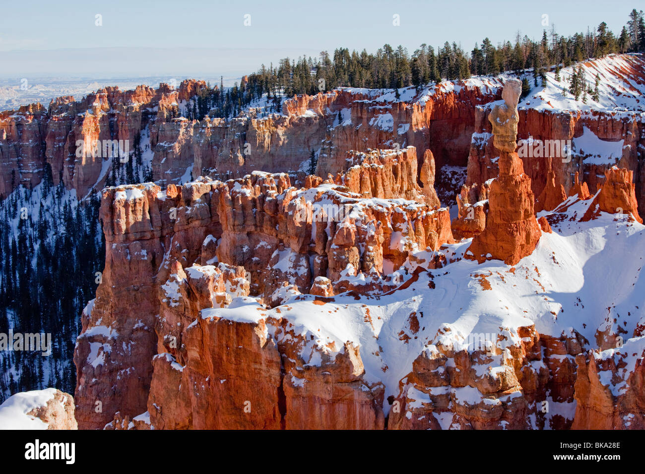At Agua Canyon, thin, protruding spires of rock, hoodoos have been ...