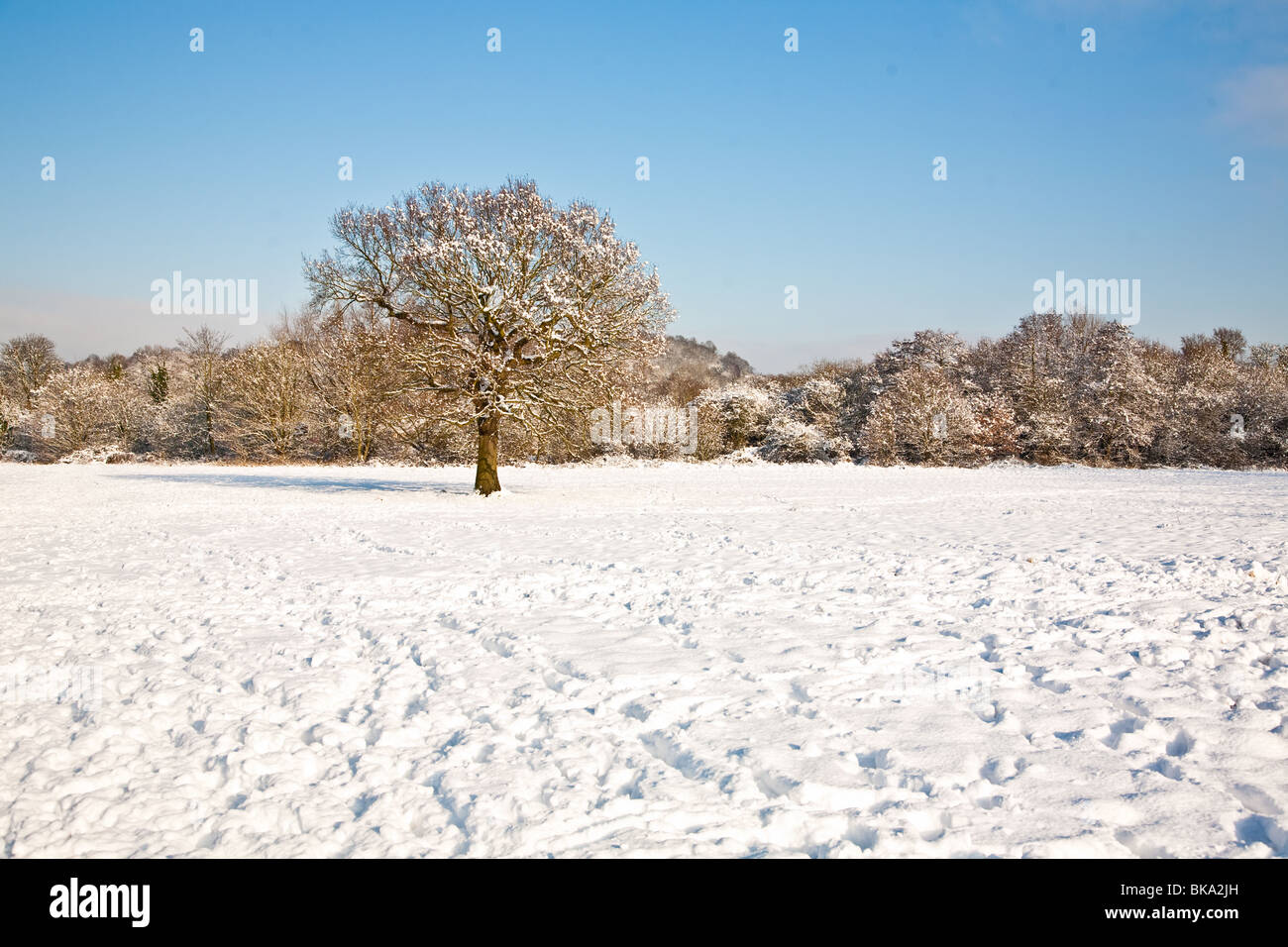 Field snow winter hi-res stock photography and images - Alamy