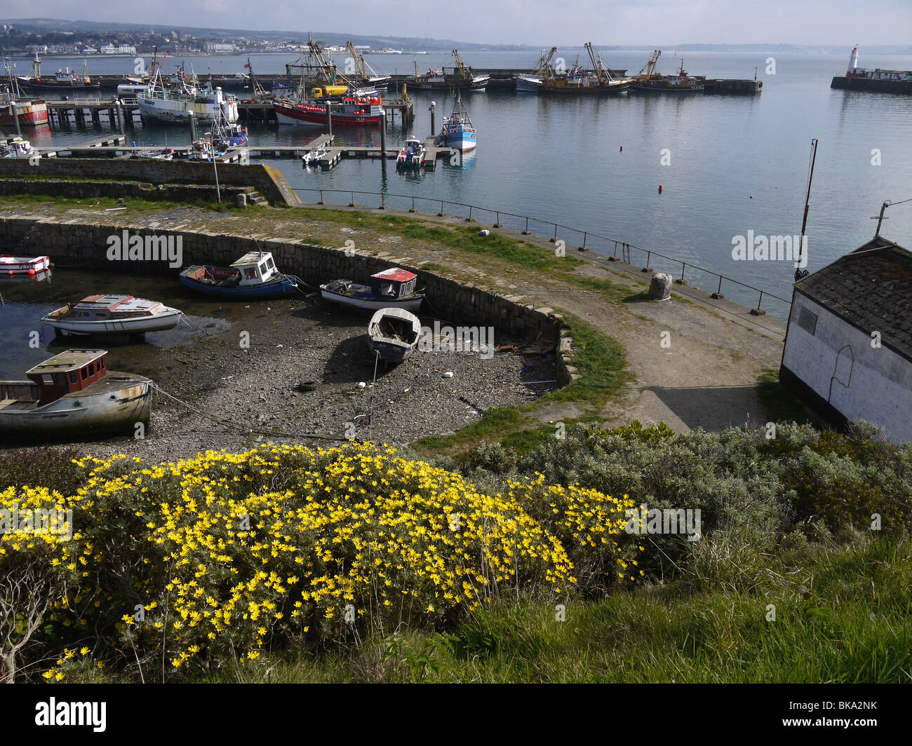 Newlyn Harbour Cornwall UK Stock Photo - Alamy