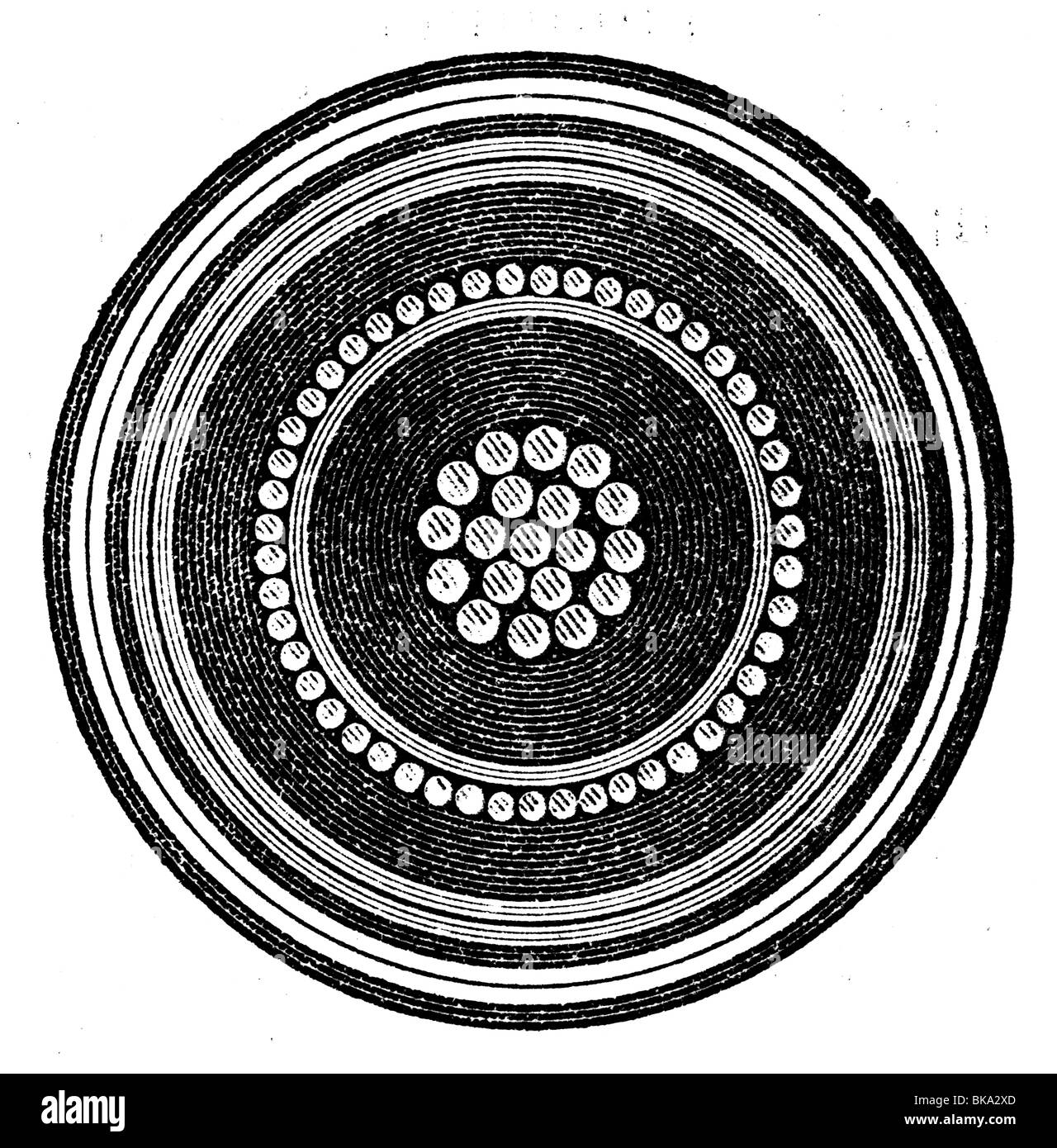 Electrical cable section hi-res stock photography and images - Alamy