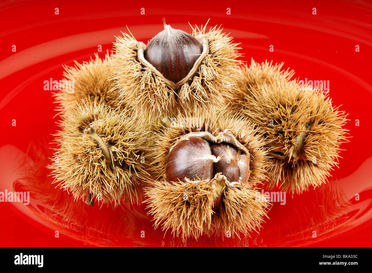 Chestnuts in a red plate Stock Photo - Alamy