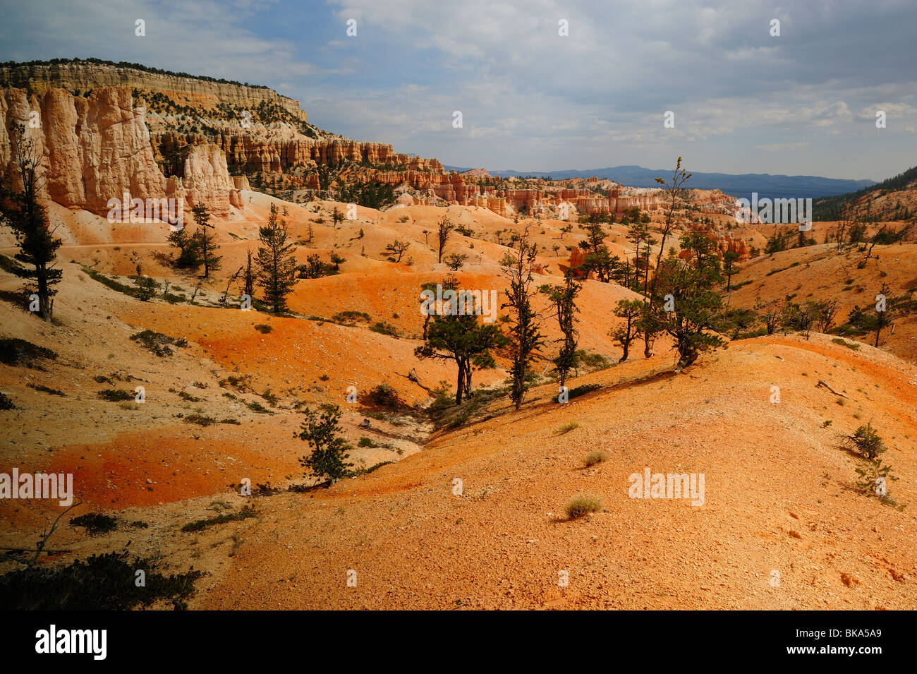 Scenic view "hoodoos" in Bryce Canyon from Fairyland Loop trail, Utah ...