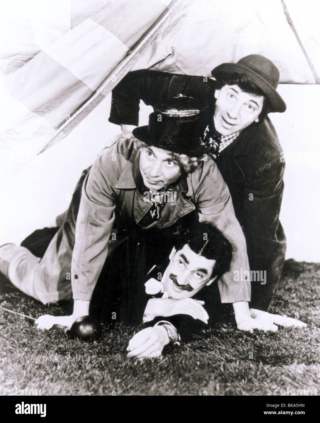 At the circus 1939 chico marx hi-res stock photography and images - Alamy