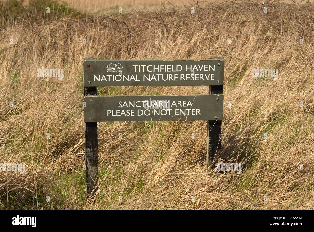 titchfield haven nature reserve Stock Photo - Alamy