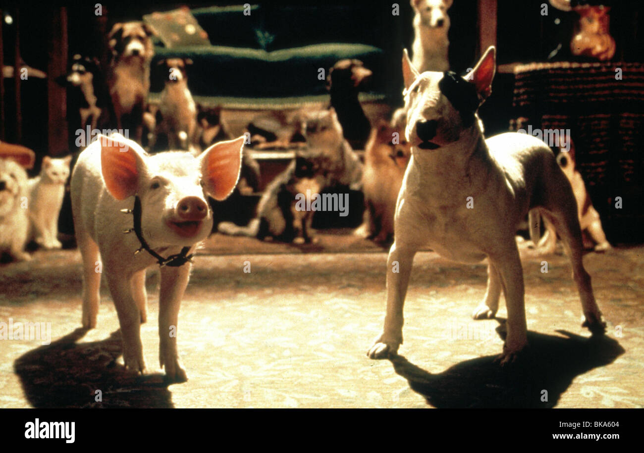 BABE : PIG IN THE CITY -1998 Stock Photo - Alamy