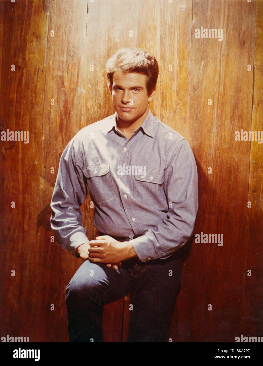 Warren beatty hi-res stock photography and images - Alamy