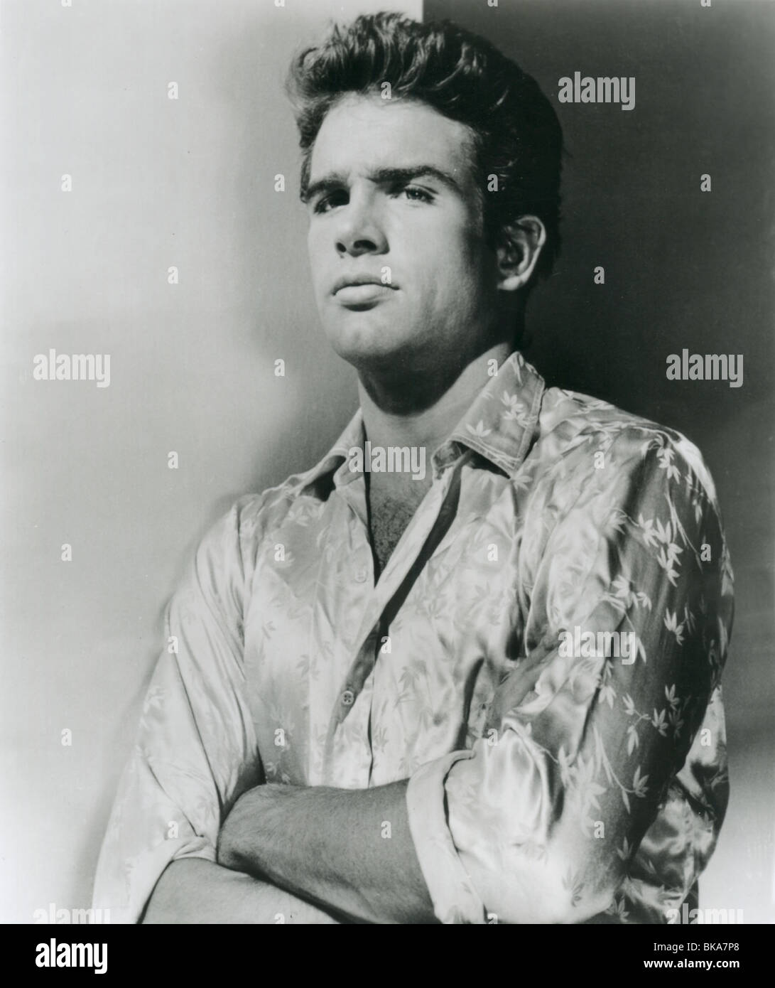 WARREN BEATTY PORTRAIT Stock Photo - Alamy