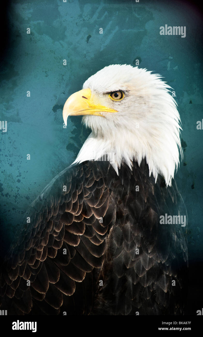 Eagle background hi-res stock photography and images - Alamy