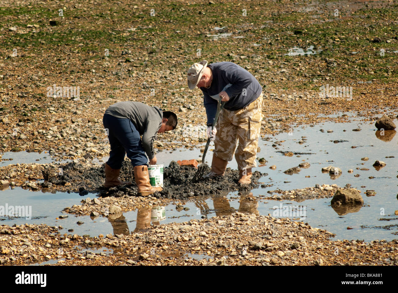 Cockle Fishing High Resolution Stock Photography and Images - Alamy