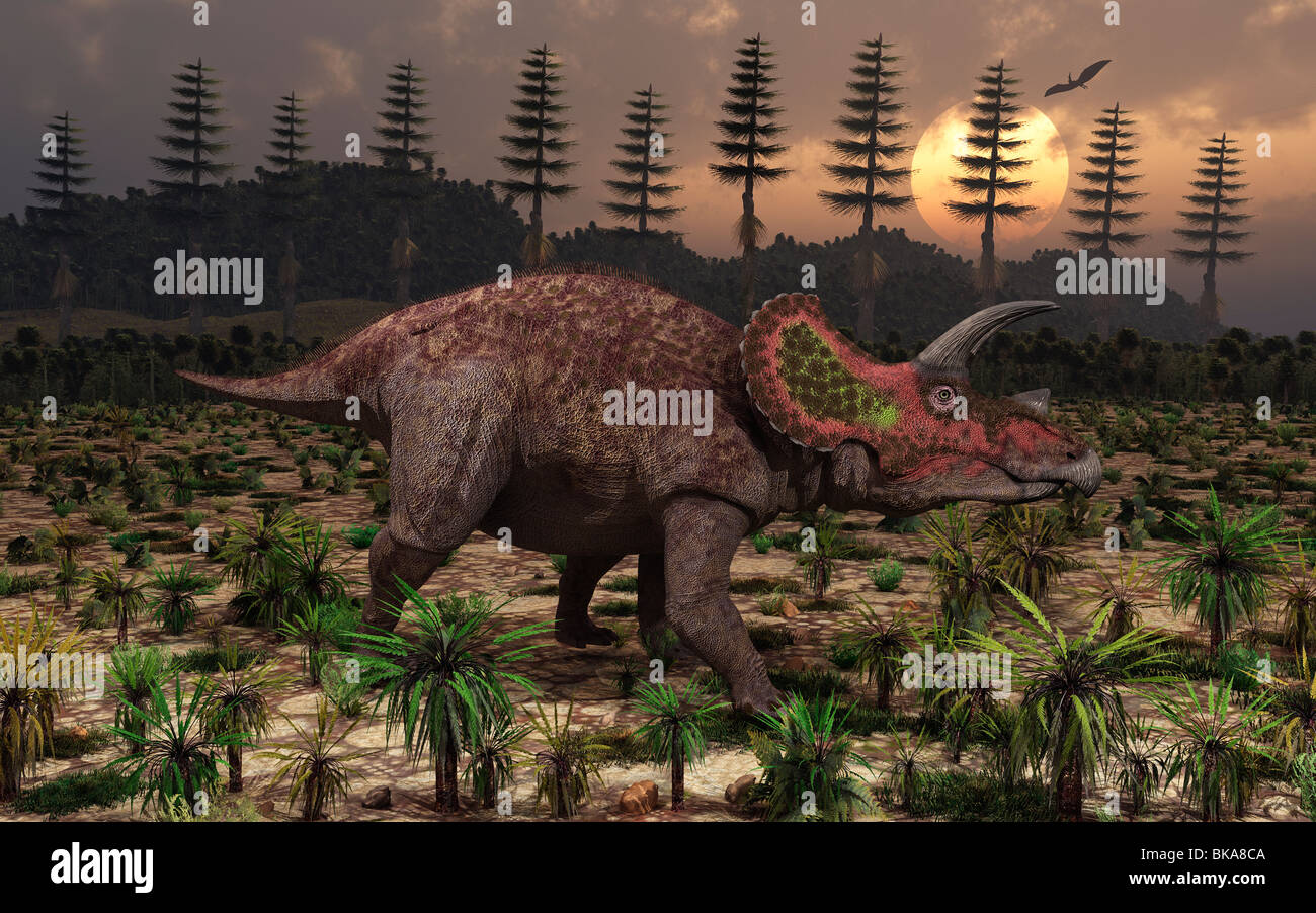 Triceratops hi-res stock photography and images - Alamy