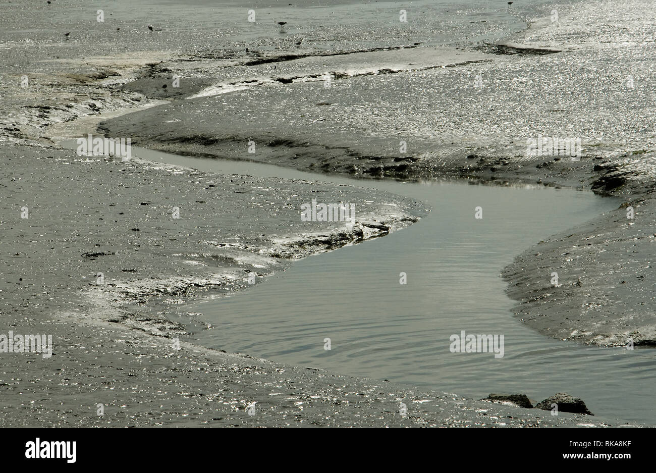 Tidal Gully High Resolution Stock Photography and Images - Alamy