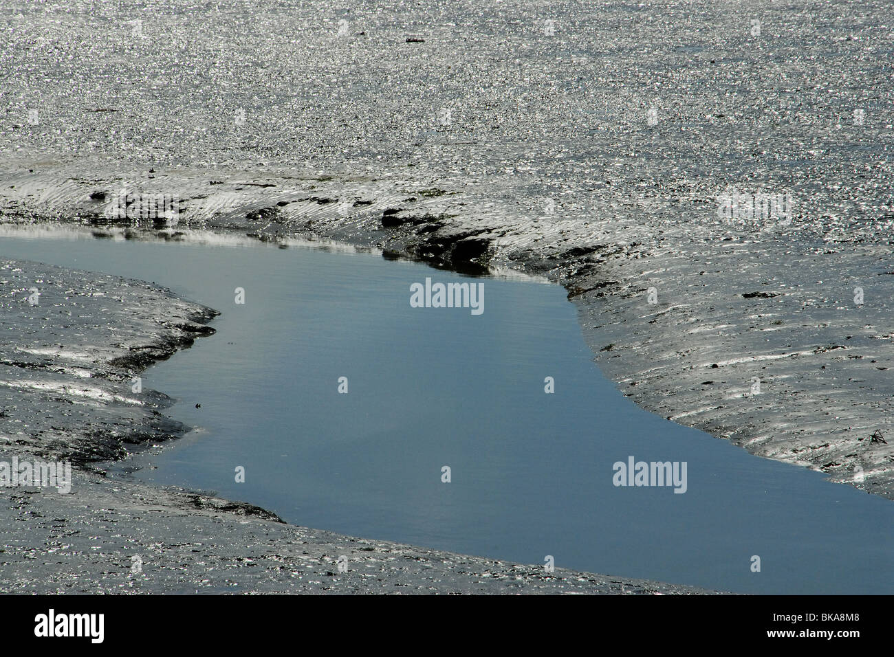 Slenk in Wad; watergleuf; Channel in Dutch Wadden; channel Stock Photo ...