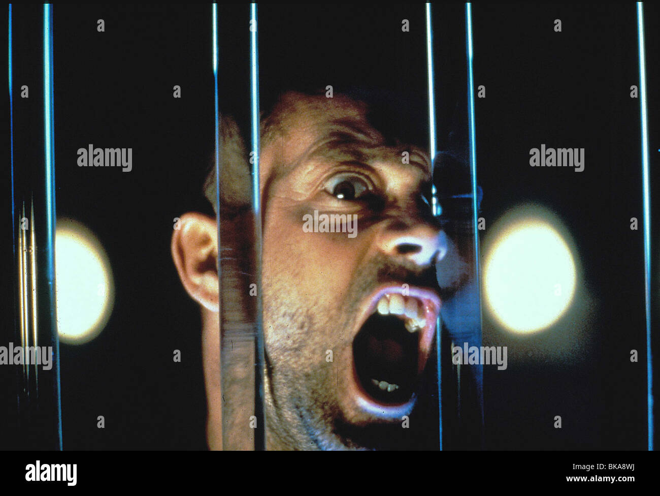 BEYOND BEDLAM (1994) BEDLAM (ALT) KEITH ALLEN BYBL 004 Stock Photo - Alamy