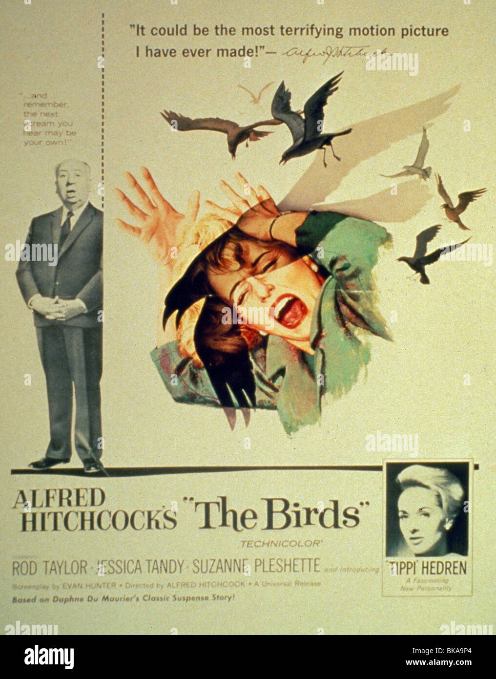 The Birds Poster