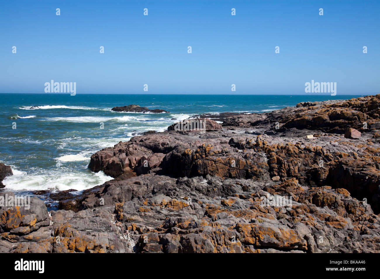 View along atlantic ocean coast hi-res stock photography and images - Alamy