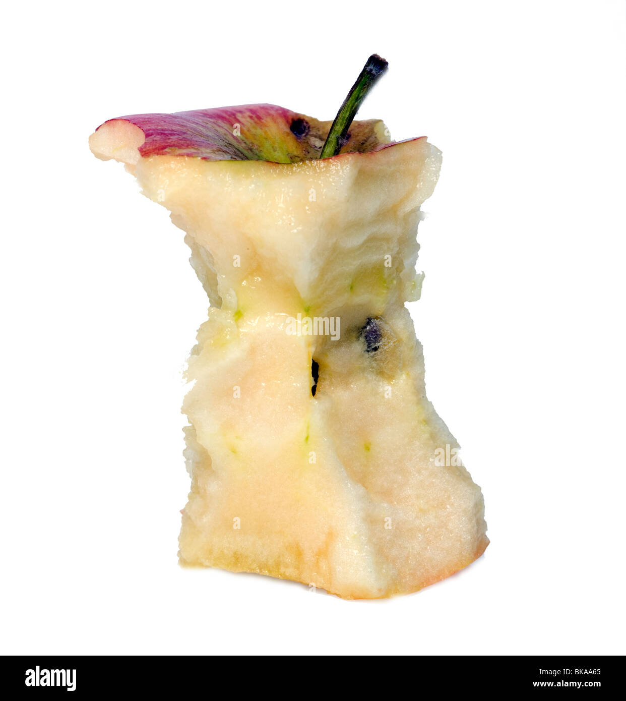 one apple core on white background Stock Photo - Alamy