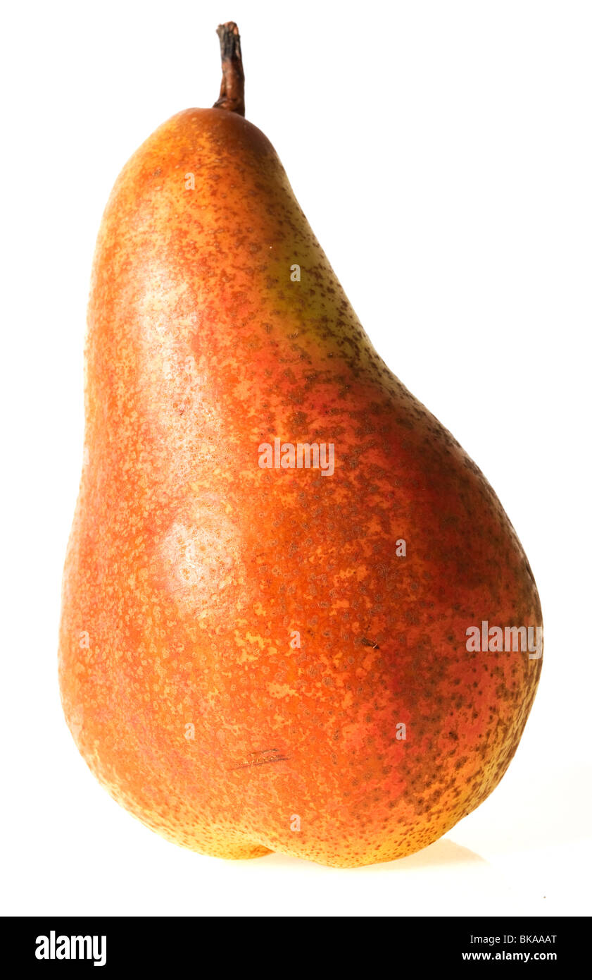 one pear on white background Stock Photo - Alamy
