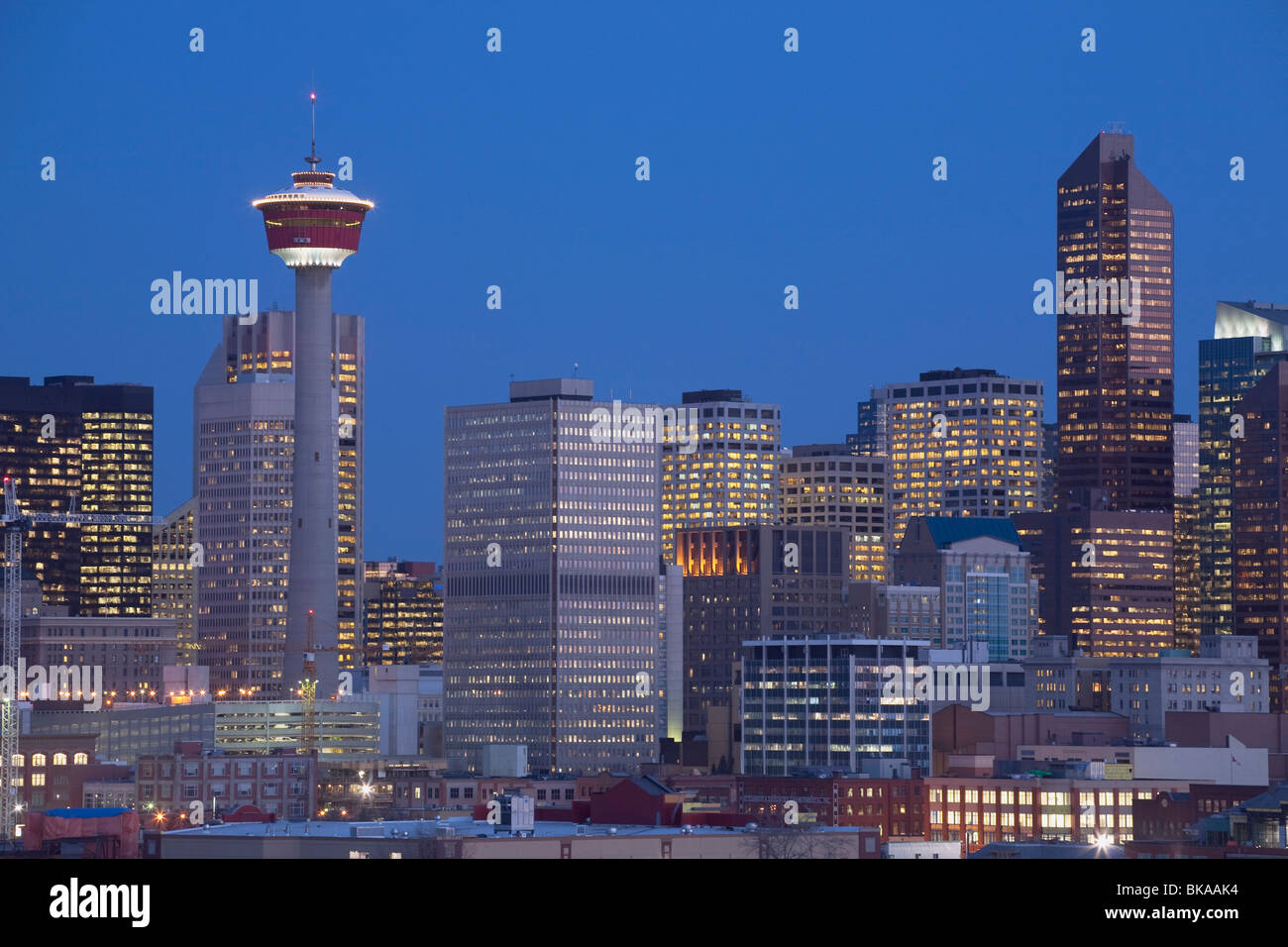 Calgary, Alberta, Canada; Skyline At Night Stock Photo - Alamy