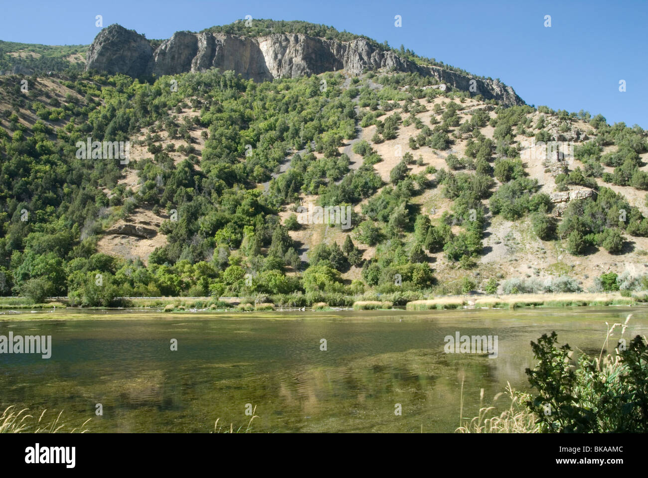Mountain Beside the Logan River Stock Photo - Alamy