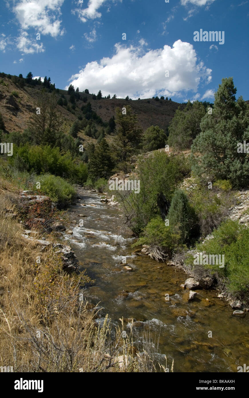 The Logan River Stock Photo - Alamy