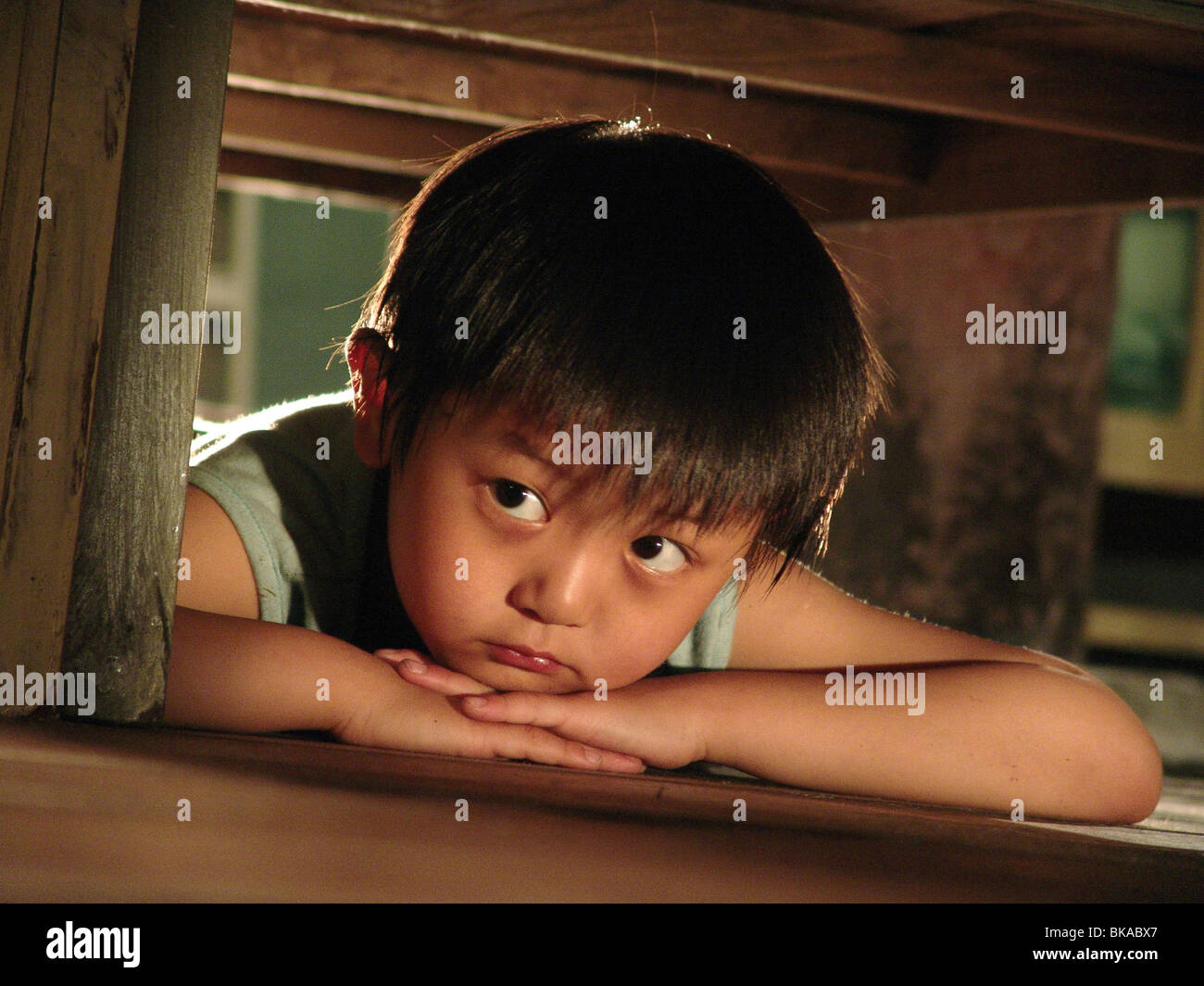 Kan shang qu hen mei Little Red Flowers Year : 2006 - China Director ...