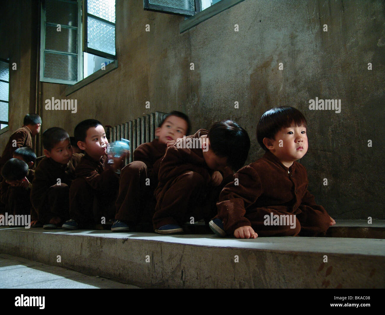 Kan shang qu hen mei Little Red Flowers Year : 2006 - China Director ...