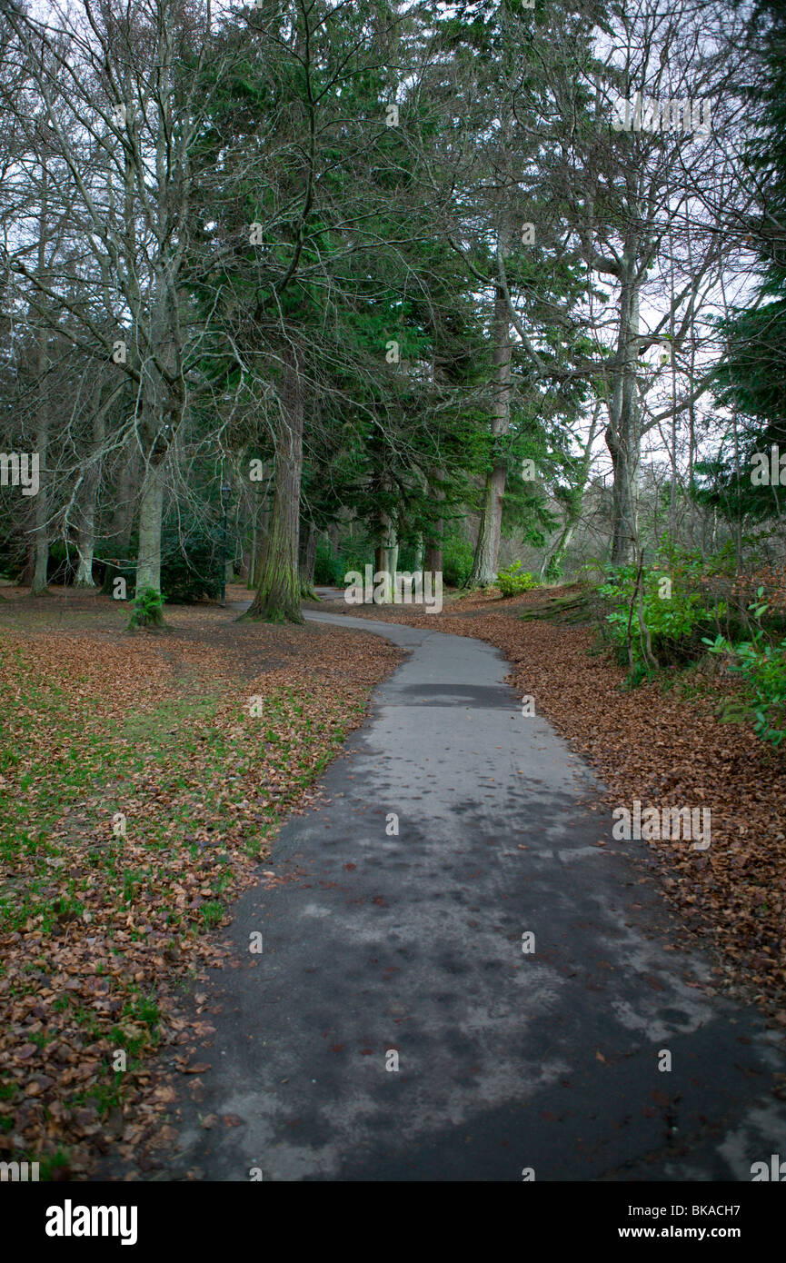 Ness walk footpath Stock Photo - Alamy