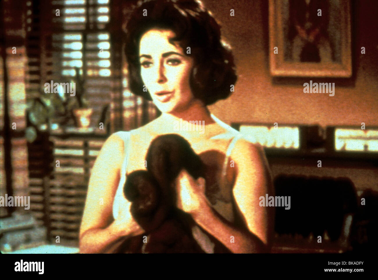 BUTTERFIELD EIGHT (1960) ELIZABETH TAYLOR BFET 038 Stock Photo - Alamy