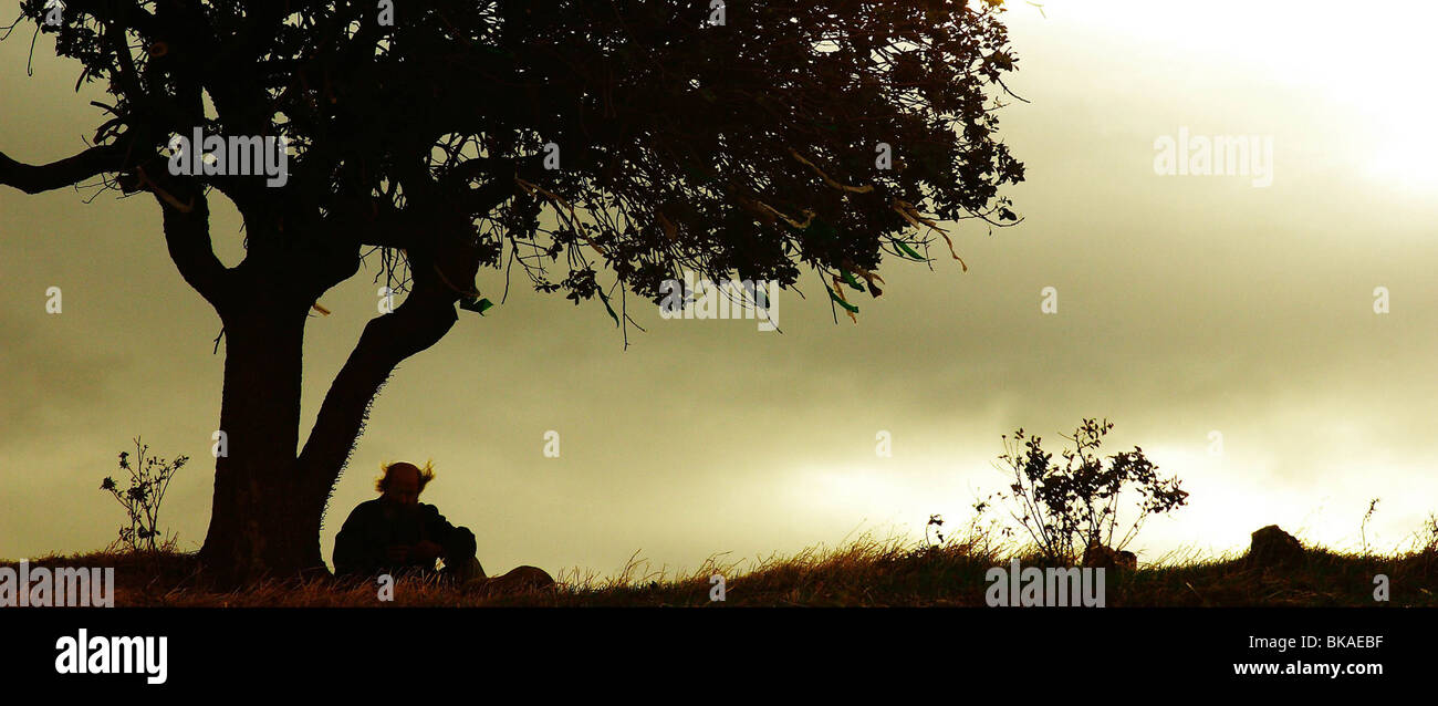 Shahram alidi omer chawshin hi-res stock photography and images - Alamy