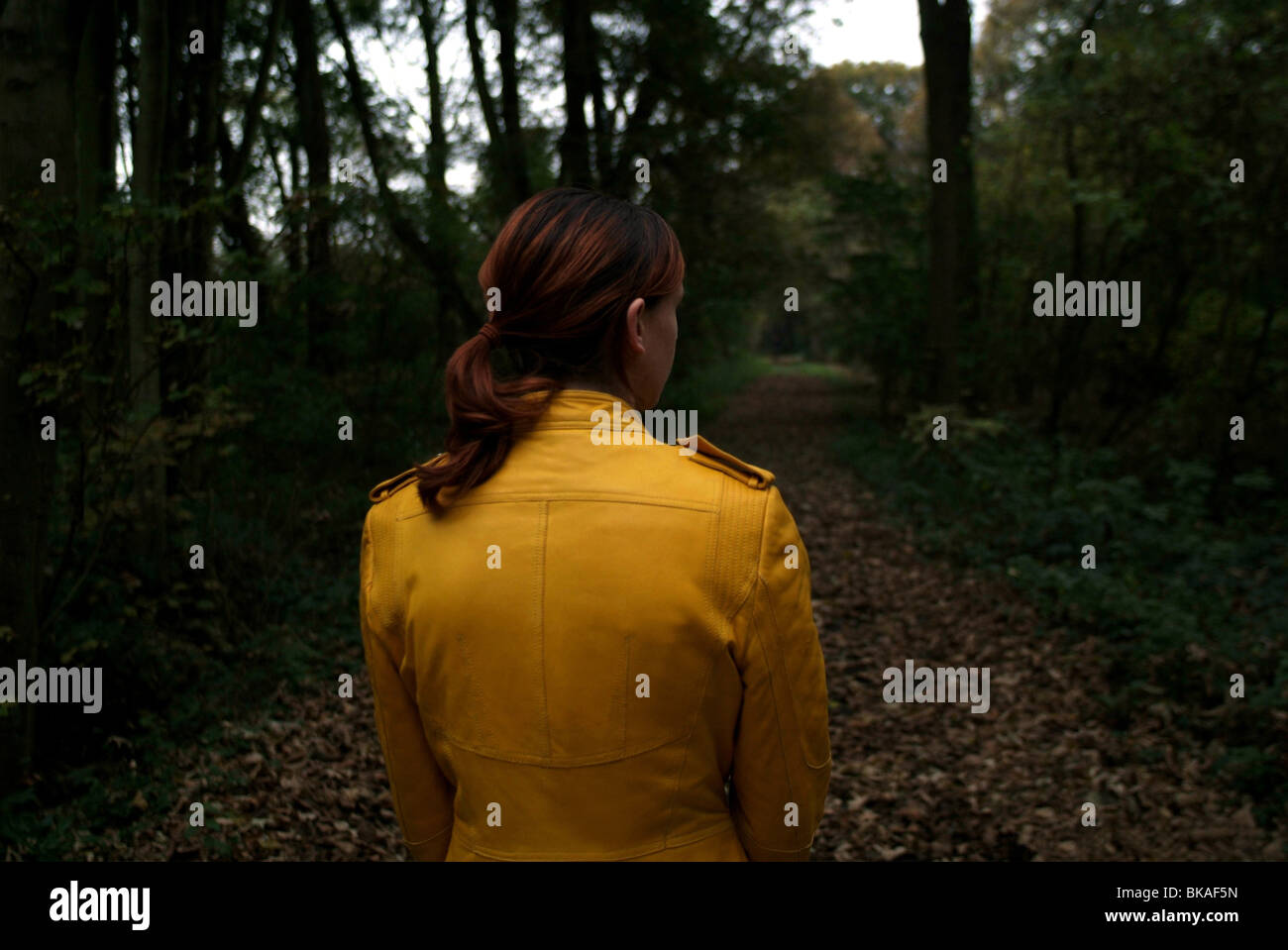Helen Year : 2010 UK / Ireland Director : Joe Lawlor, Christine Molloy ...