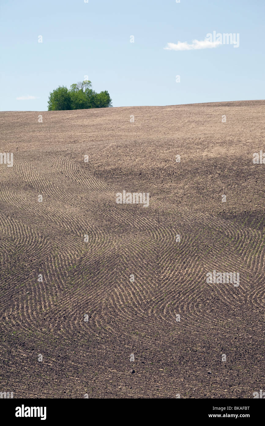 Soil environment farms hi-res stock photography and images - Alamy
