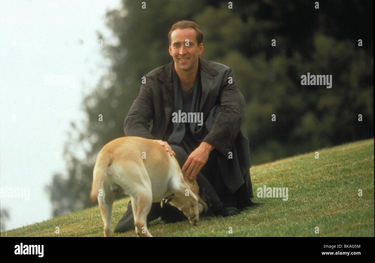 City of angels 1998 nicolas cage hi-res stock photography and images ...
