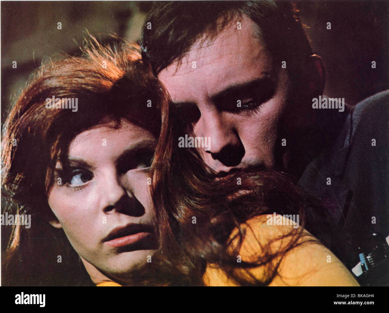 The Collector 1965 Poster