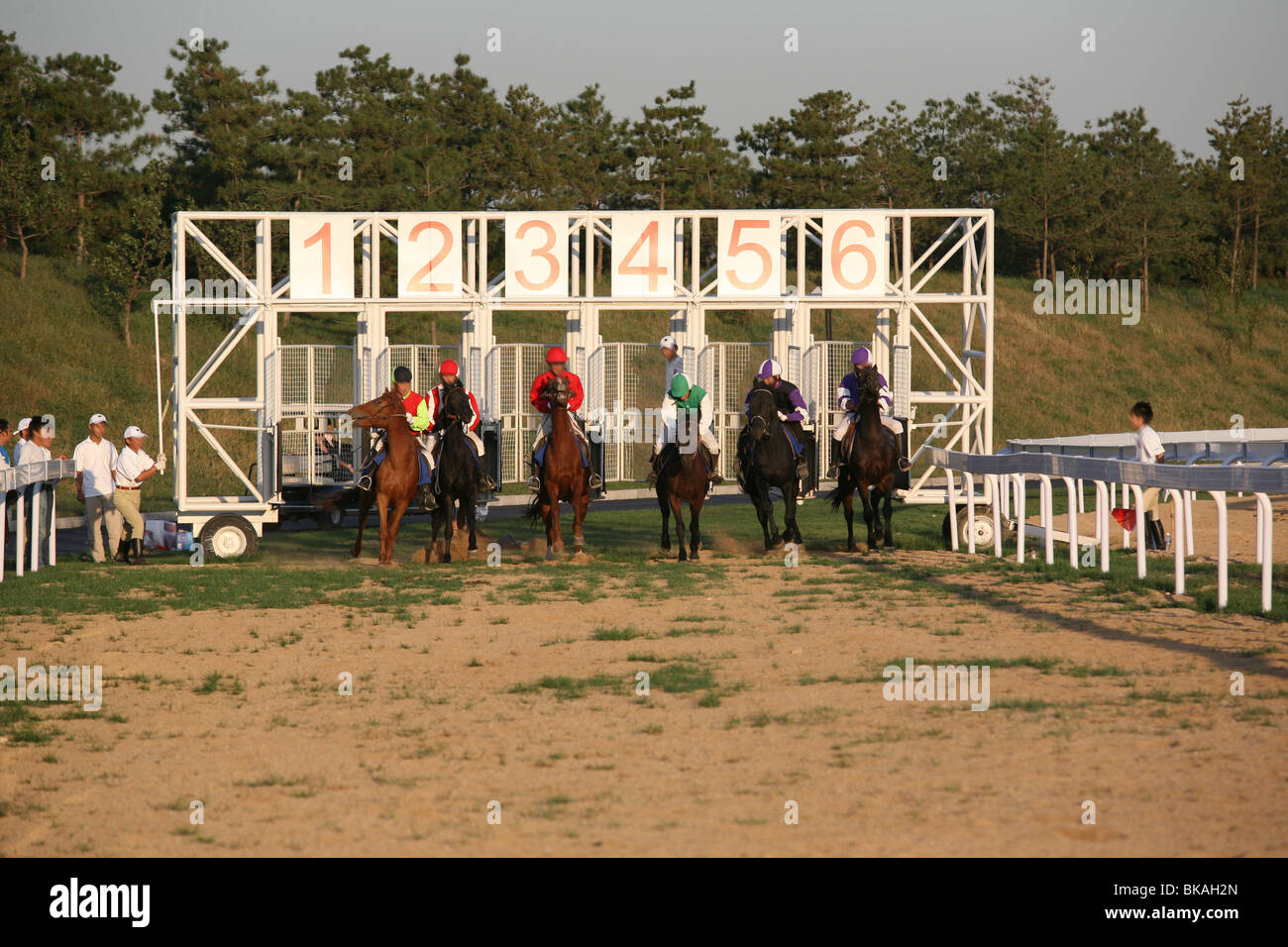 Small racing yard hi-res stock photography and images - Alamy