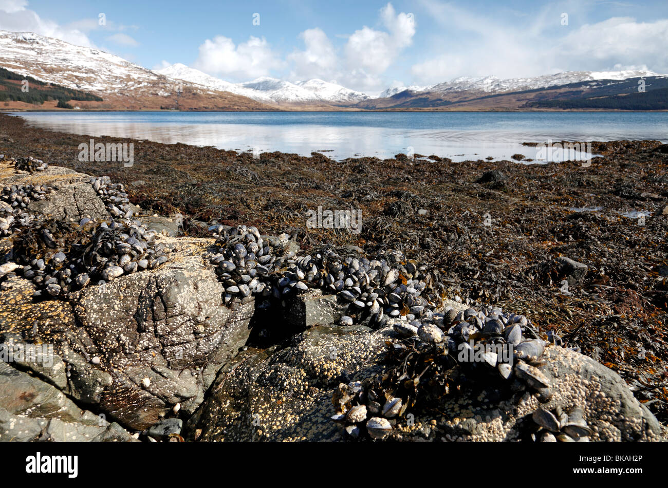 View towards isle of mull hi-res stock photography and images - Alamy