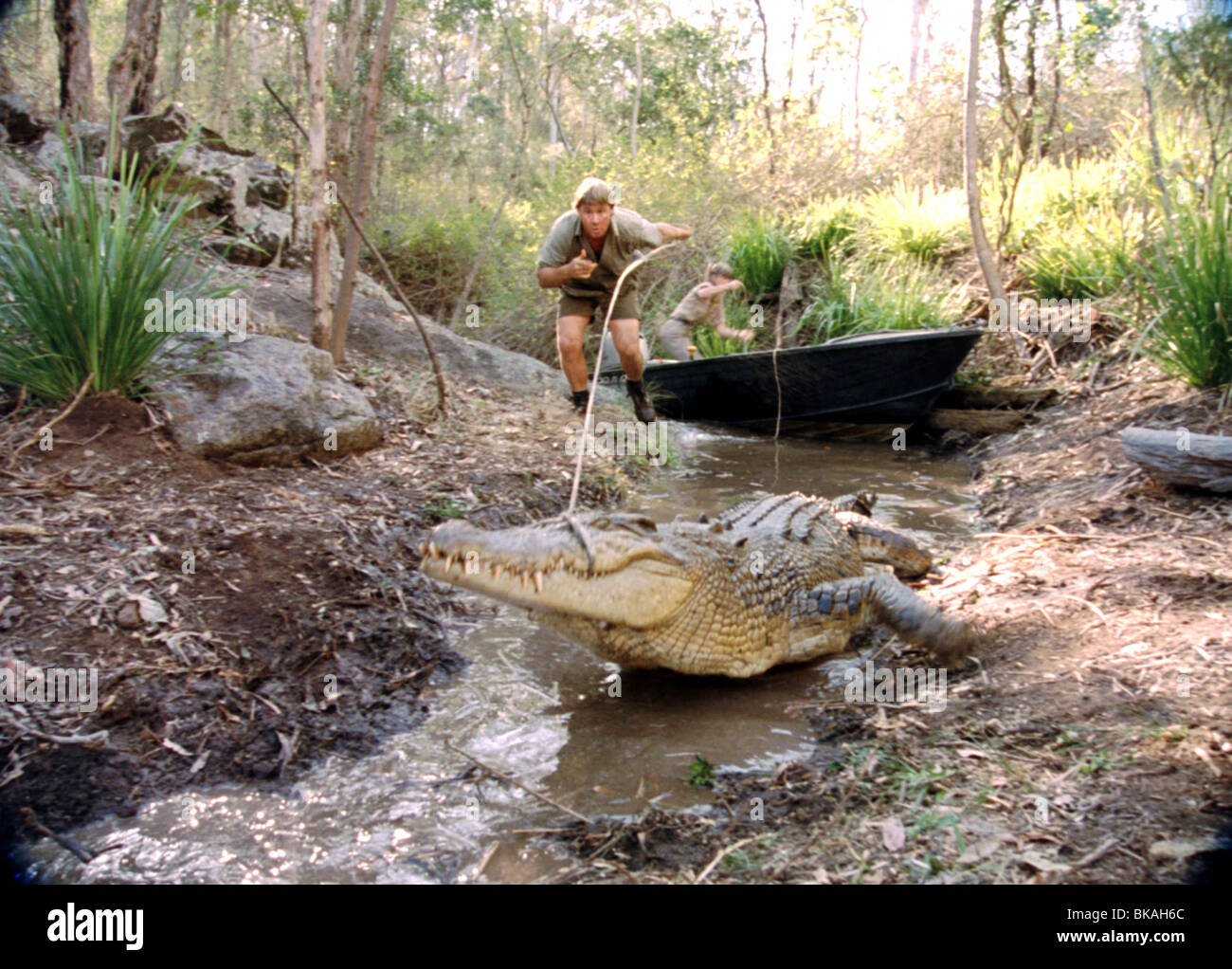 THE CROCODILE HUNTER : COLLISION COURSE (2002) STEVE IRWIN, TERRI IRWIN ...