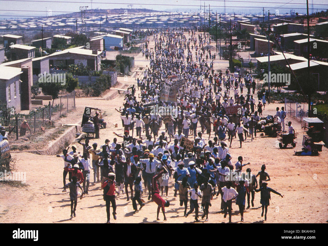 CRY FREEDOM -1987 Stock Photo - Alamy