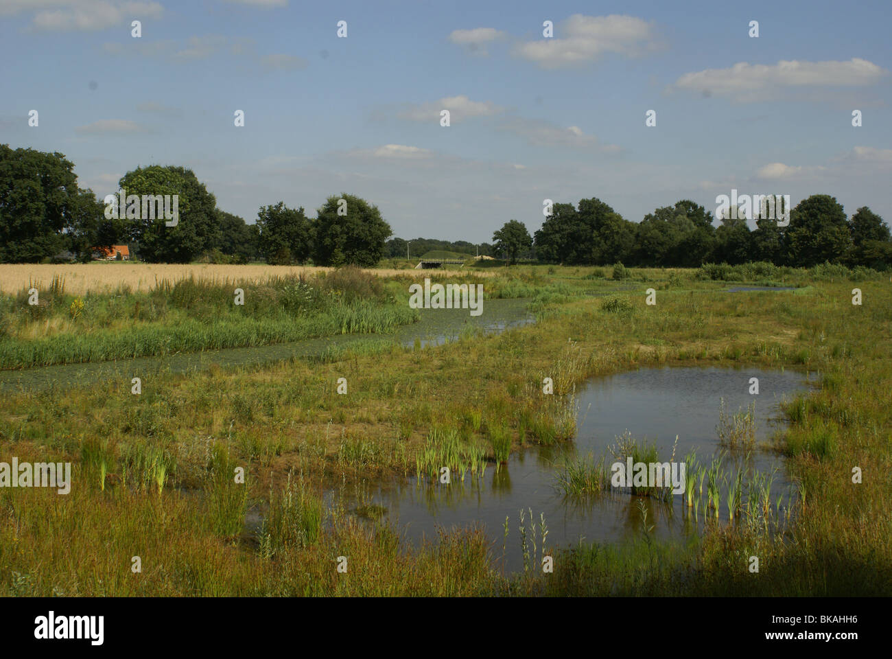 Landschap rond de nieuw gegraven beek De Doorbraak bij IJpelo, Wierden ...