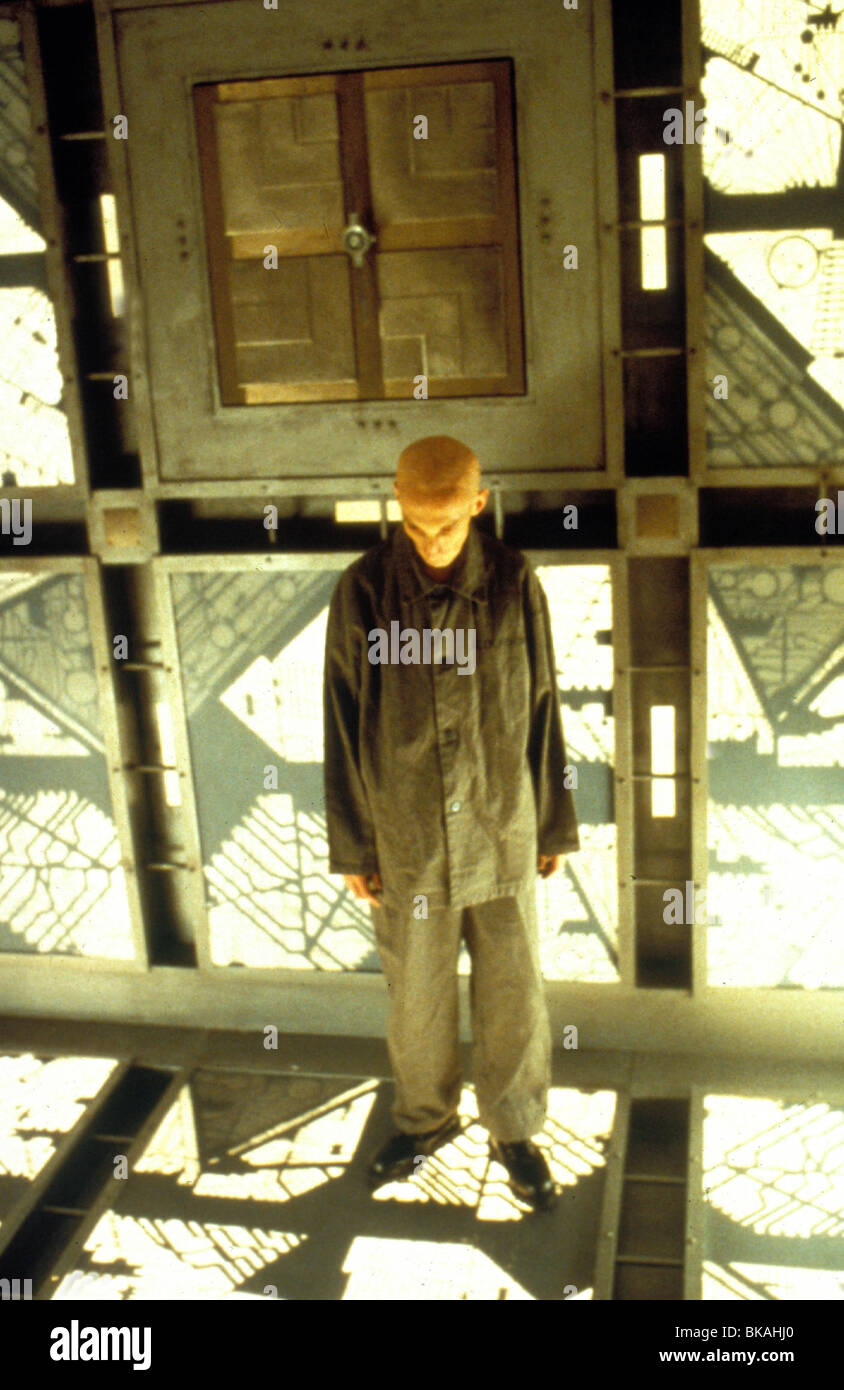 The Actor Andrew Miller Cube