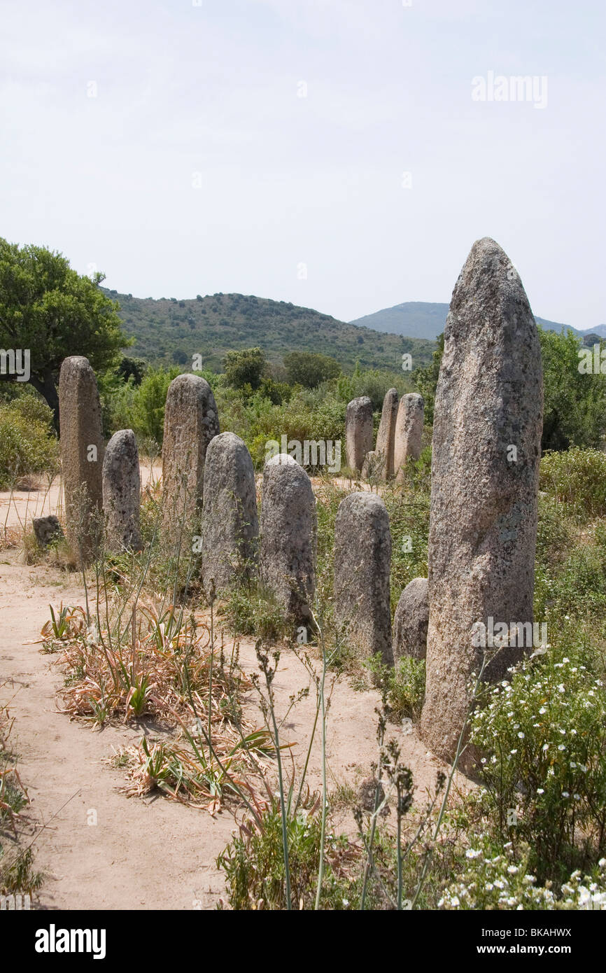 Menhir Standing Stones, Filitosa, Corsica, France Stock Photo - Alamy