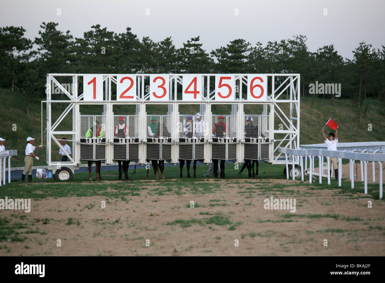 Small racing yard hi-res stock photography and images - Alamy