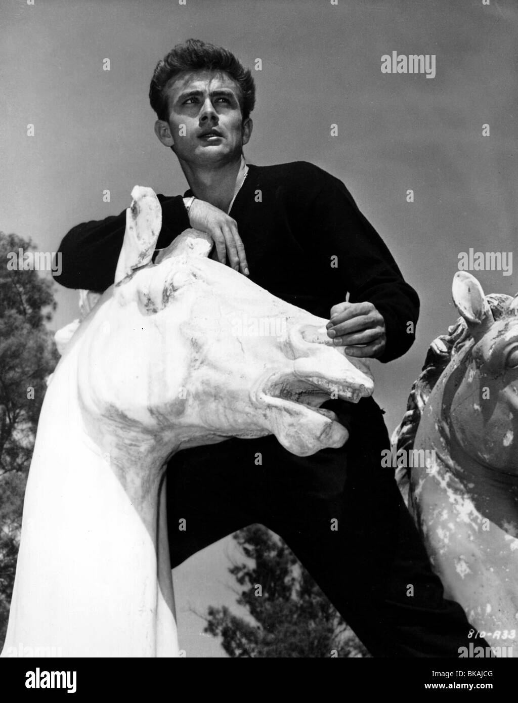 PORTRAIT JAMES DEAN Stock Photo - Alamy