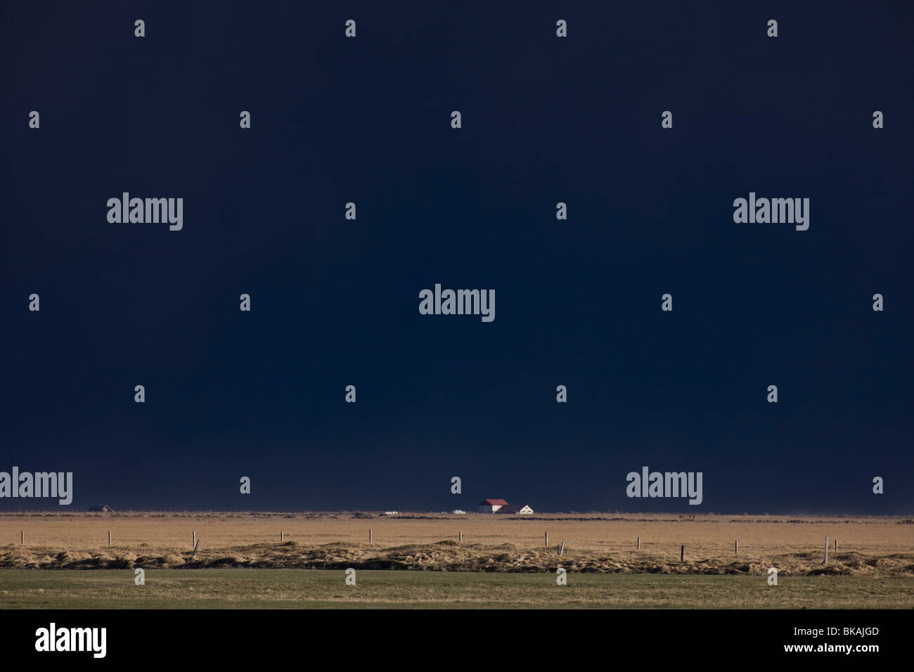 Ash island farm hi-res stock photography and images - Alamy