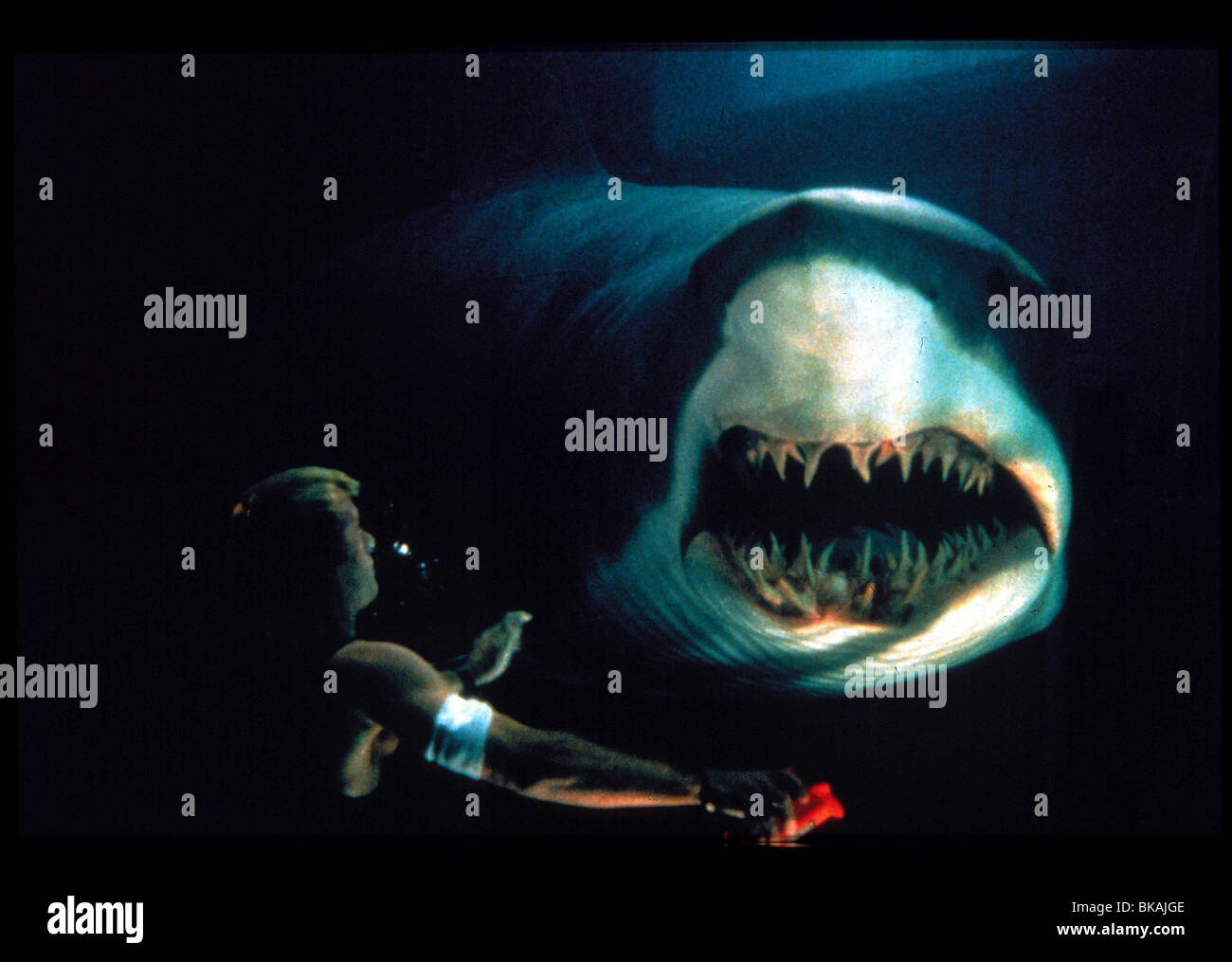 Renny harlin hi-res stock photography and images - Alamy