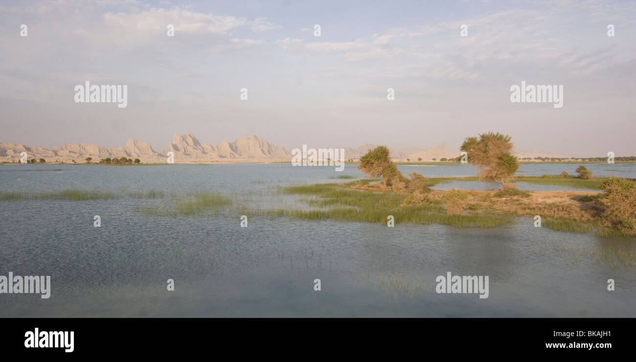 A seasonal marsh is formed in the desert after severe winter rains ...